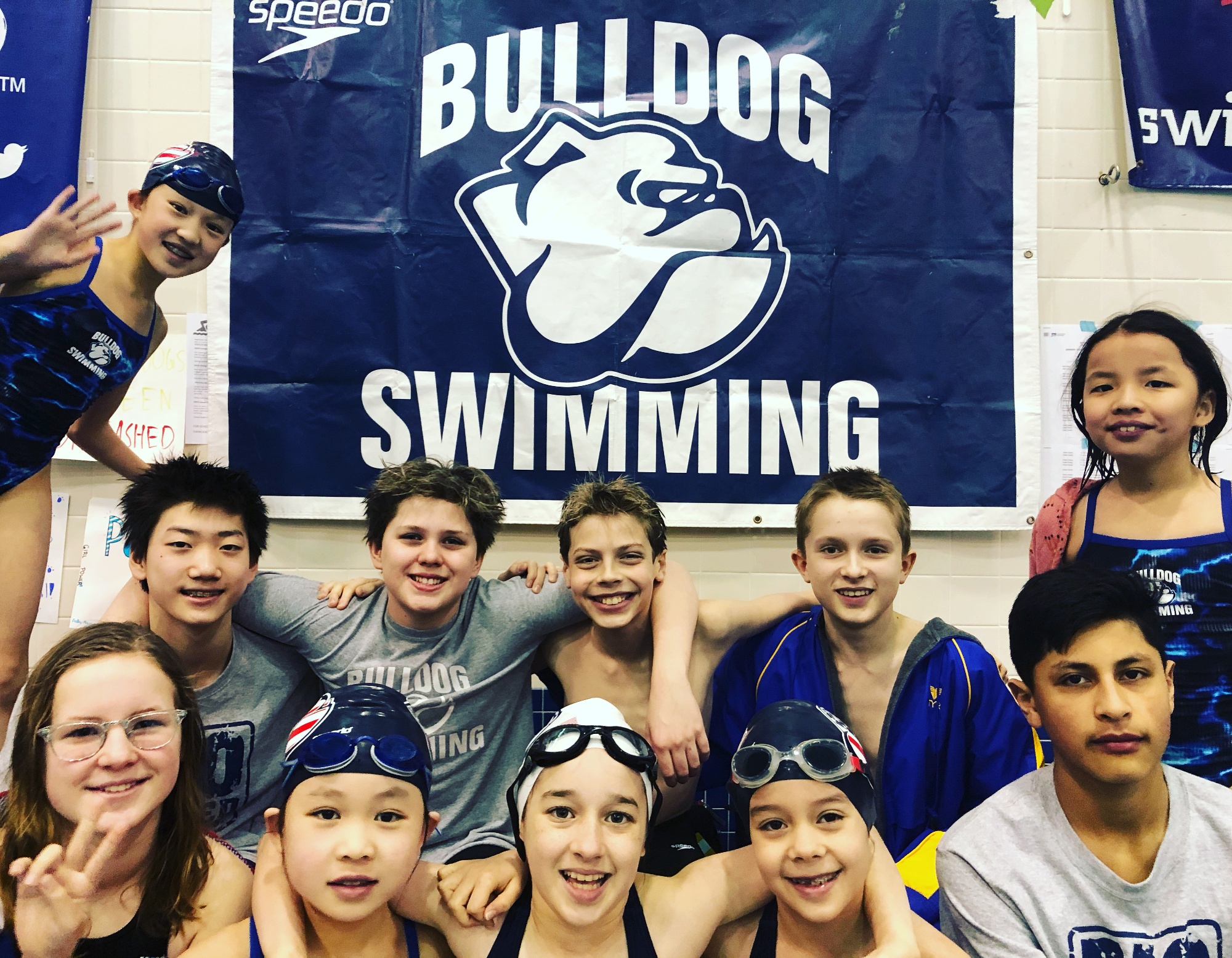 Bulldog Swimming - CT Home