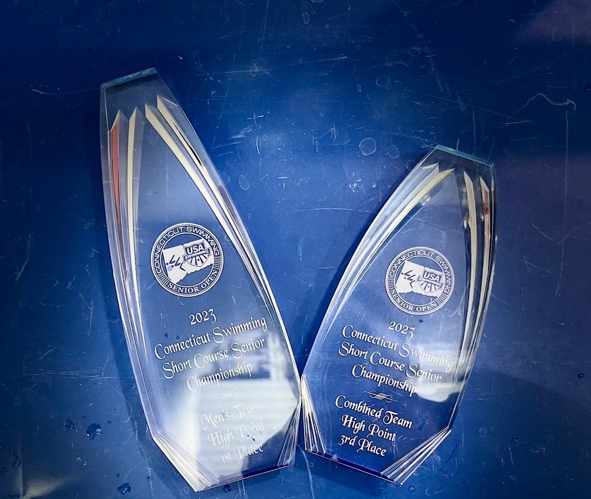 Bulldog Swimming - CT Home